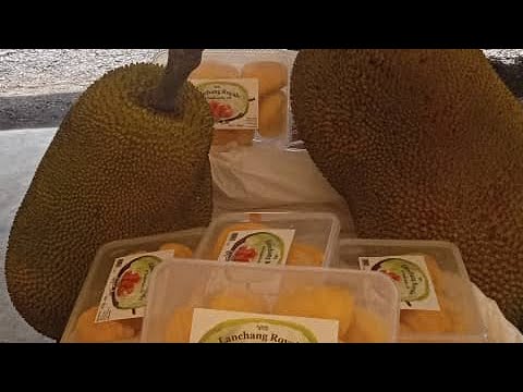 Nangka Madu J33