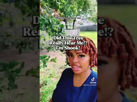 This tree trend ain’t no joke! I’m shook!! 🌳🤯