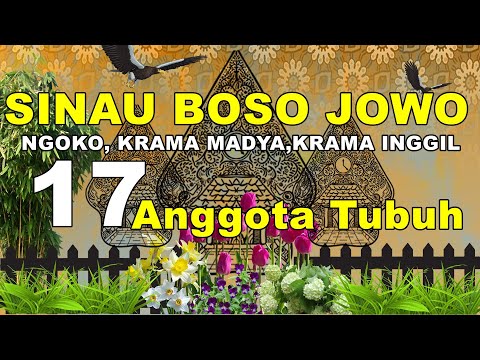 Bahasa Jawa Belajar Mengenal Anggota Tubuh