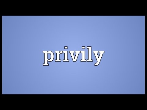 Privily Meaning