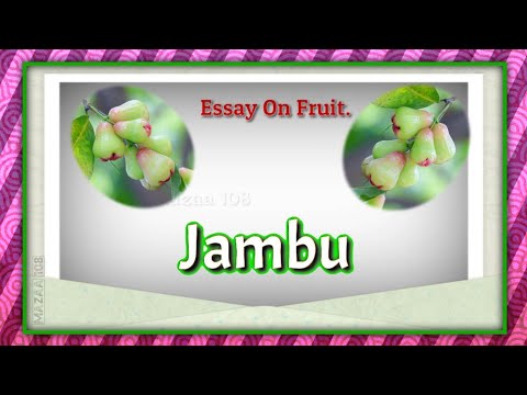 Jambu | Essay On Jambu | My Favorite Fruit Jambu | Few Lines About Jambu | Jambu Fruit | #Mazaa108
