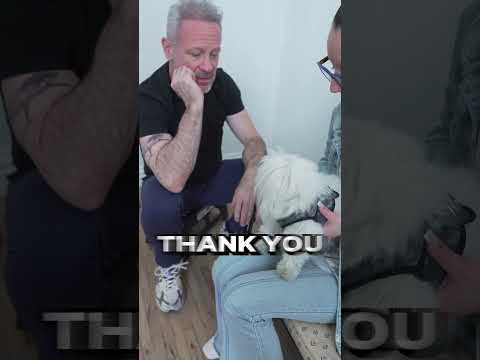 Dog LIMPING & REFUSING to WALK ~ Immediate Relief from Dr. Doug's Chiropractic Session!
