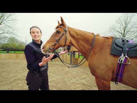Francesca Explains EP5- Gelding