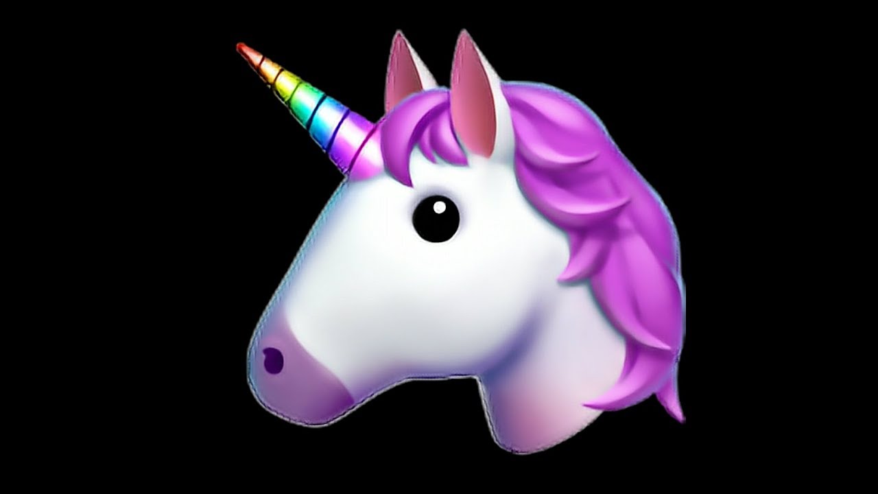 The Unicorn Developer - Welcome to life