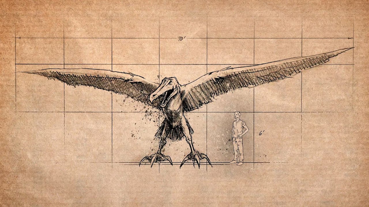 Lost Monster Files Thunderbird episode flies in the face of reason ...