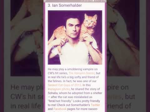 Top ten celebs who loves cat