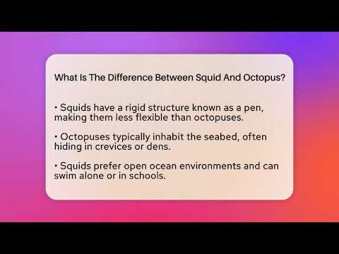 What Is The Difference Between Squid And Octopus? - The Marine Life Explorer