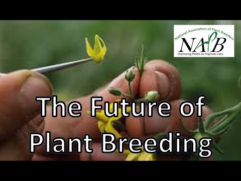 Ask a Plant Breeder - Technology Edition