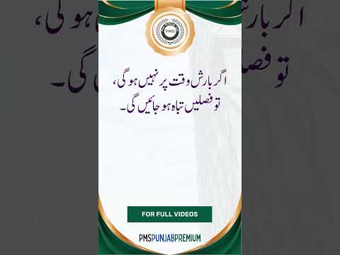 Urdu to English Sentences 10| Important FPSC, CSS and PMSPunjab English Test #shorts