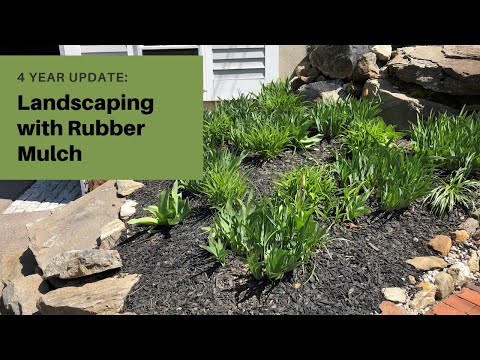 Landscaping with Rubber Mulch: 4 Year Update