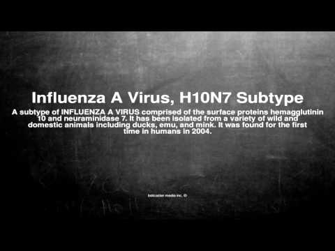 Medical vocabulary: What does Influenza A Virus, H10N7 Subtype mean