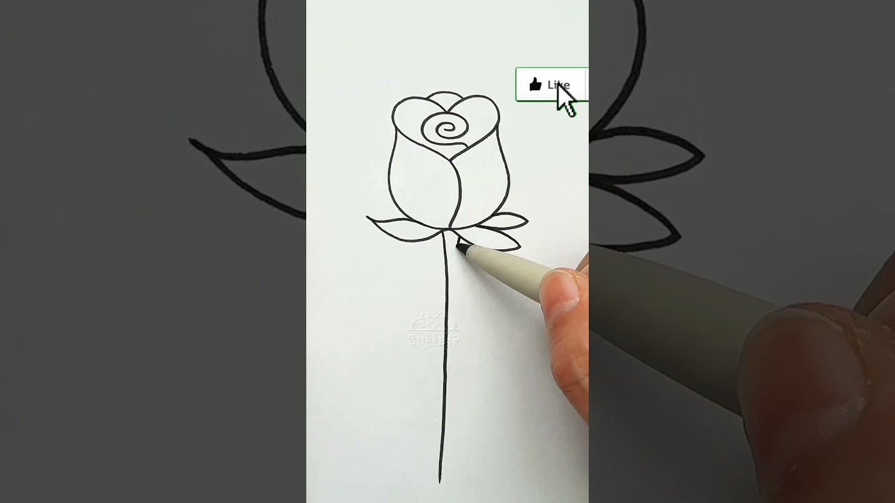 Cara menggambar bunga mawar #menggambar #menggambarbunga #art