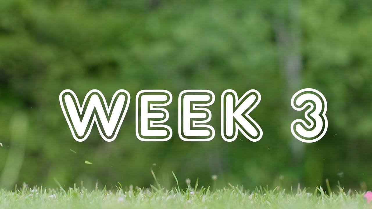 Camp Dina - Week 3 - 2016