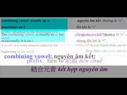 Structure of a medical term, word root, prefix, suffix, combining vowel, combining form