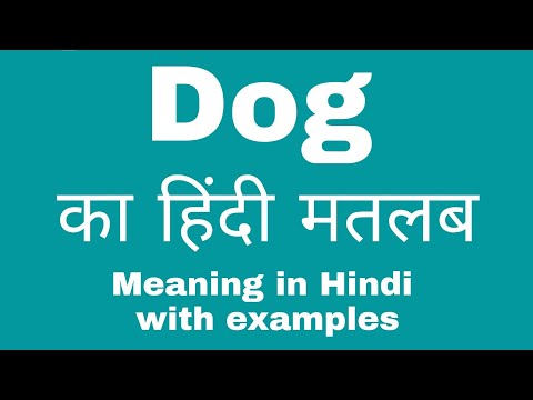 Dog Meaning in Hindi