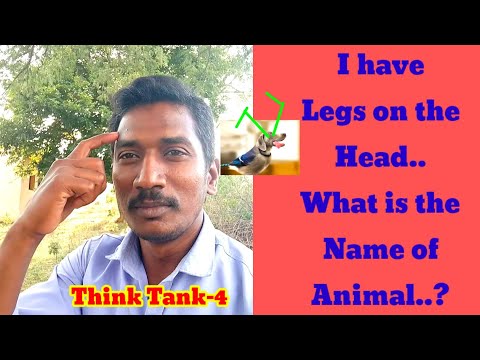 Reasoning and Critical thinking questions Tamil | Only Brilliants can answer | HOTS | Think tank 4