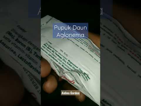 #pupukdaun Gandasil D untuk aglonema #aglonema #aglonemalovers #aidinagarden #tanamanhias #pupuk