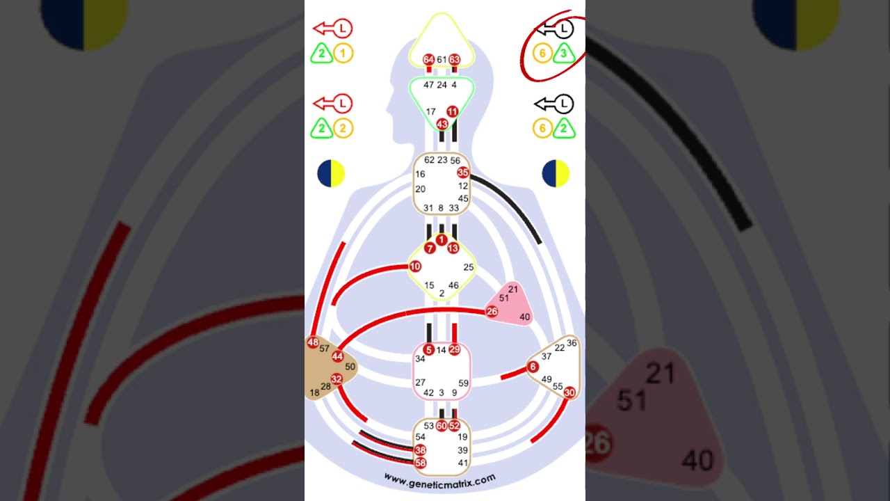 What Are The Arrows In A Human Design Bodygraph - Variable #humandesign #bodygrah
