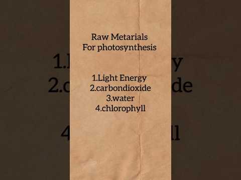 Raw materials for Photosynthesis || Class 10th#shorts