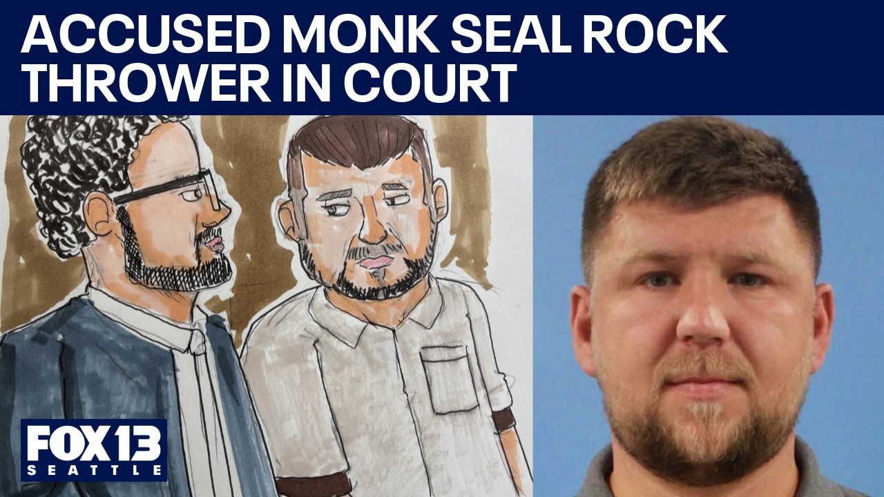 Man accused of throwing rock a Hawaiian seal appears in Seattle court