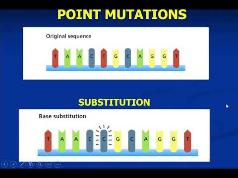 7 Mutations