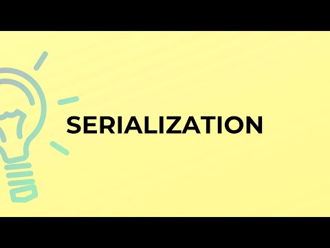 What is the meaning of the word SERIALIZATION?