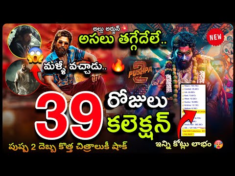 Allu Arjun Pushpa2 39th Day Boxoffice Collection | Pushpa 2 Movie Total Collections