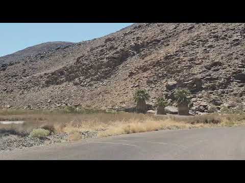 Peter Schwarzwald - USA-road trip 2018 - Mojave Desert-Zzyzx Road, Zzyzx/California