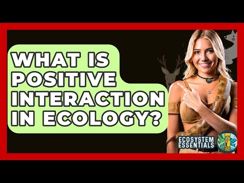 What Is Positive Interaction In Ecology? - Ecosystem Essentials
