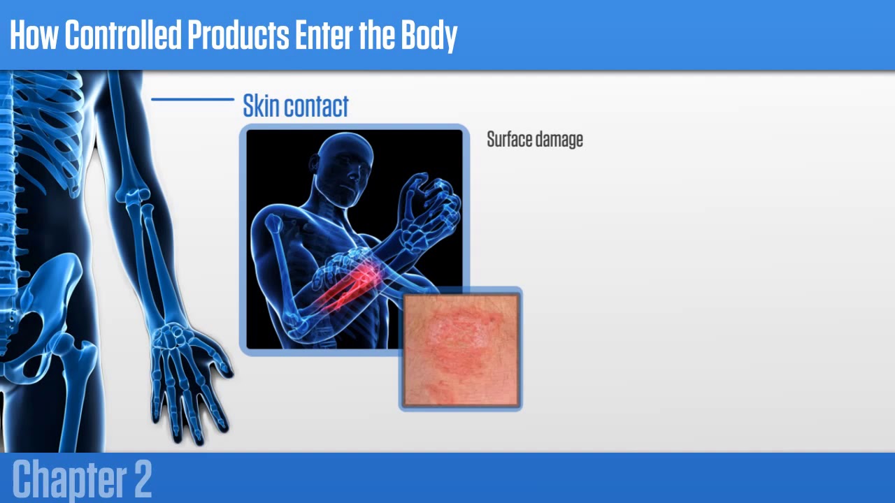 Online WHMIS Course Preview