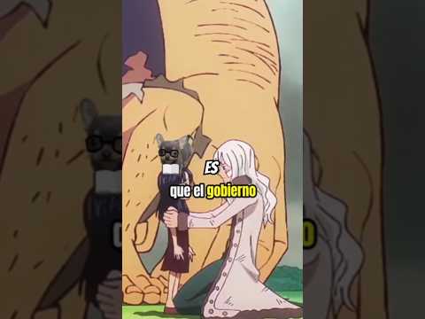 GOBIERNO DE ONE PIECE? #onepiece