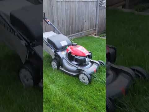 BEST PUSH MOWER EVER BUILT imo #honda #mowing #green #grass #cool #strong #best #mower #power