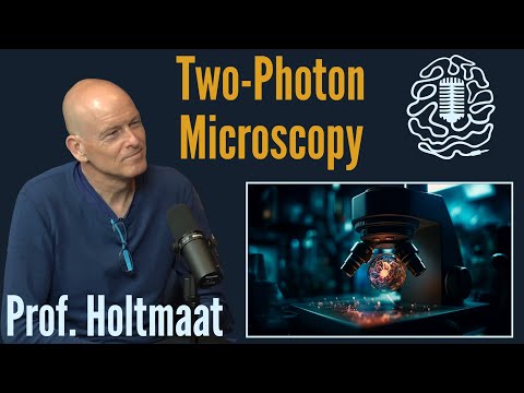 Two-photon Microscopy and Calcium Imaging. Tools to study the functioning brain