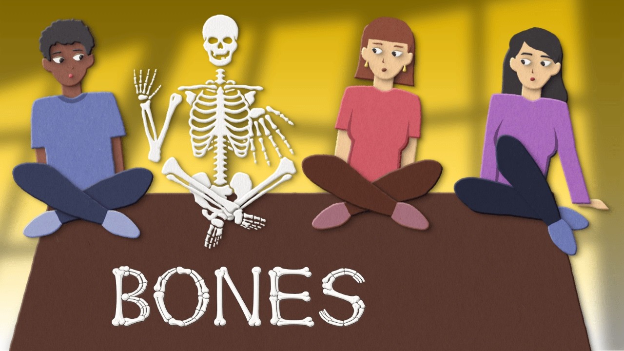 Bone structure made easy