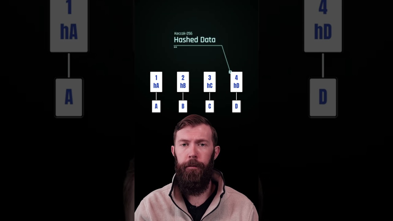 What Actually Are Merkle Trees?