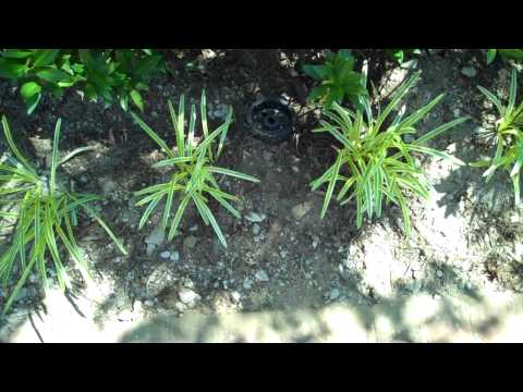 Root Watering System Video Gallery - Rootwell Products, Inc.