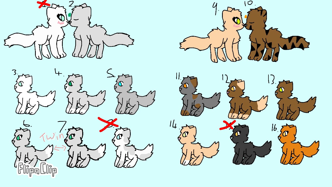 Warrior cats adopts (CLOSED) (DESC)