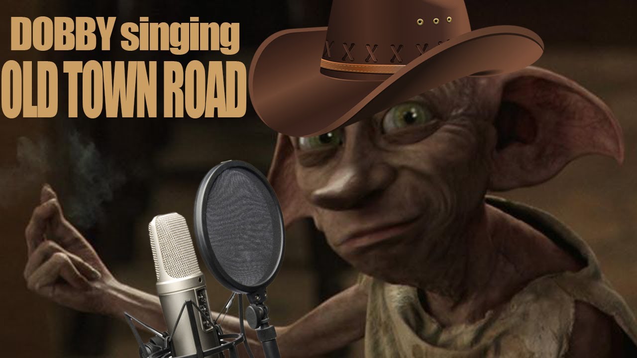 Dobby singing OLD TOWN ROAD
