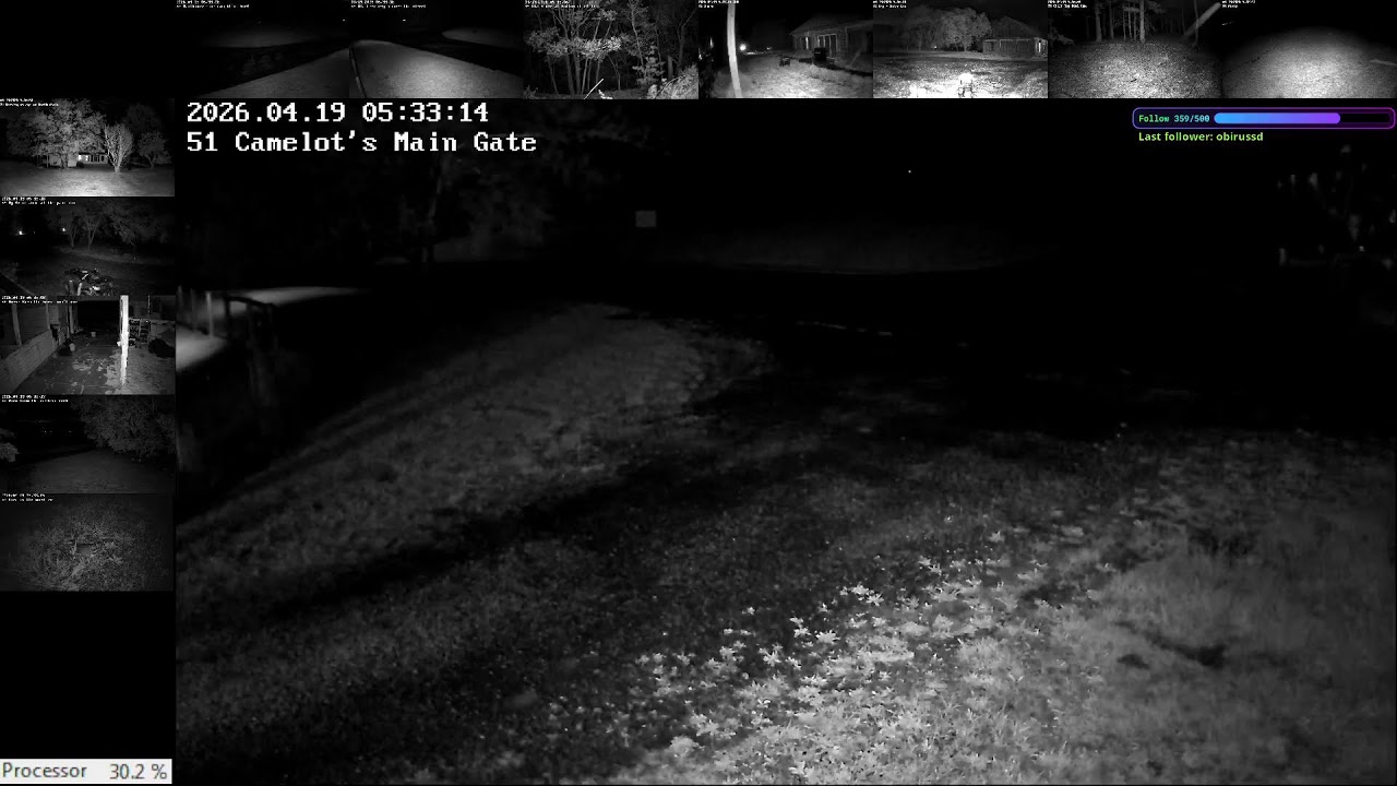 When will the killdeer hatch ?