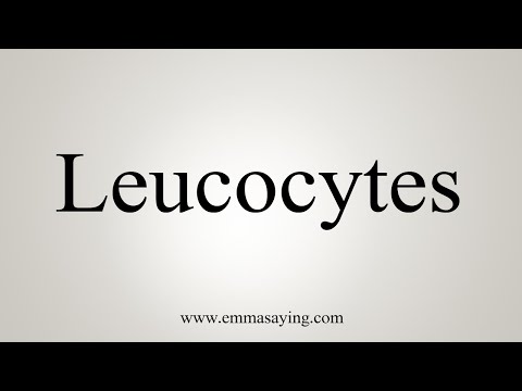 How To Say Leucocytes