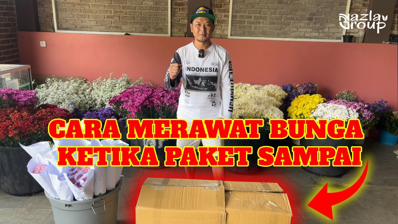 TIPS AND TRIK CARA MERAWAT BUNGA POTONG KETIKA PAKET SAMPAI
