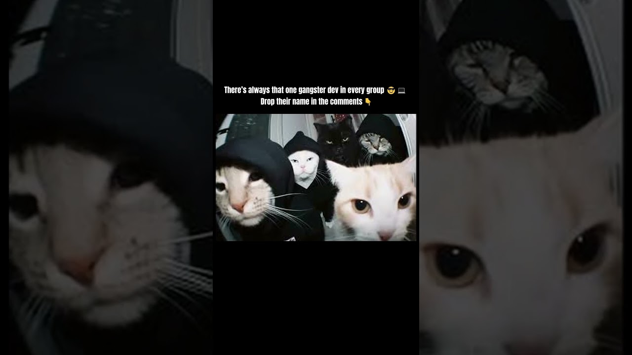 Every Coding Group Has a Gangster Dev 😎 | Relatable Programmer Meme