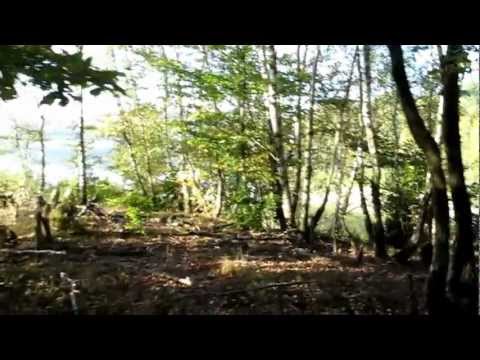 Steam Community :: Video :: Wehebach Stausee Nordufer Teil 2 | Wehebach ...