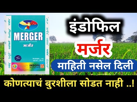 Indofil Fungicides - Latest Price, Dealers & Retailers in India