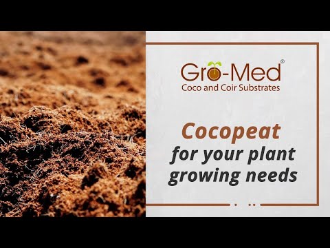 Coco Peat Products at Best Price in India