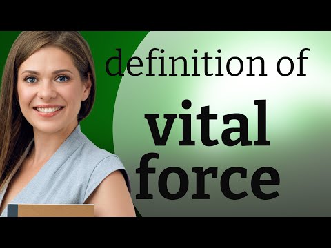 Vital force • VITAL FORCE definition