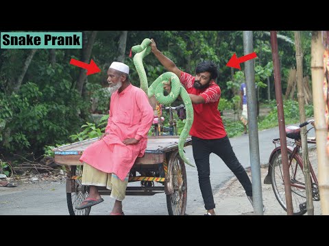 Snake Prank????King Cobra Snake Prank By Rk