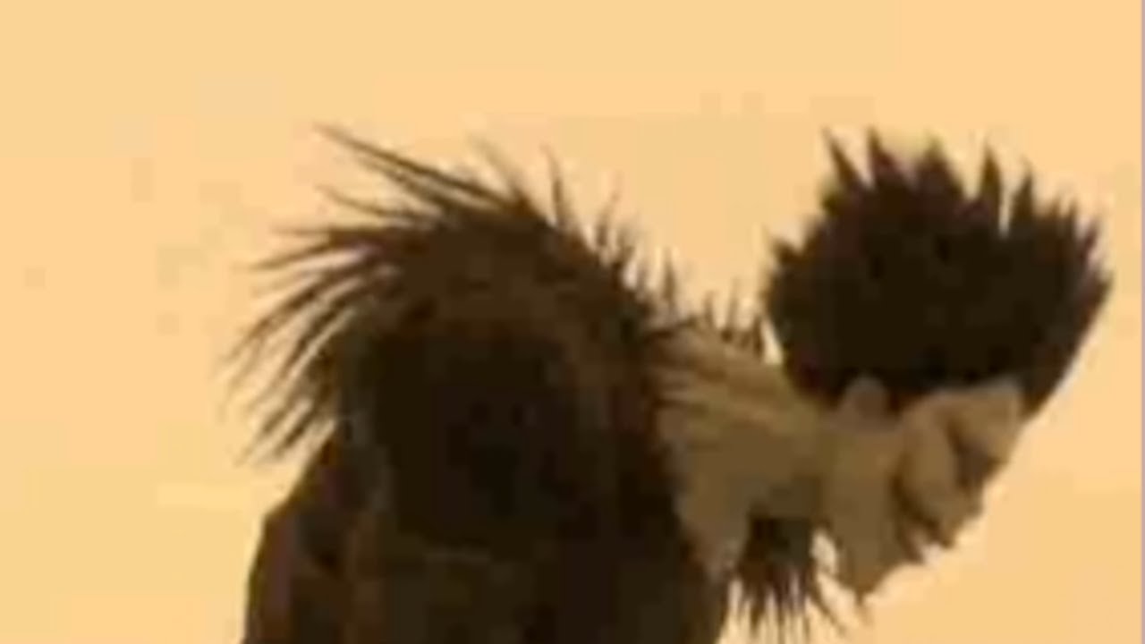 Death Note, but it's just Ryuk 2