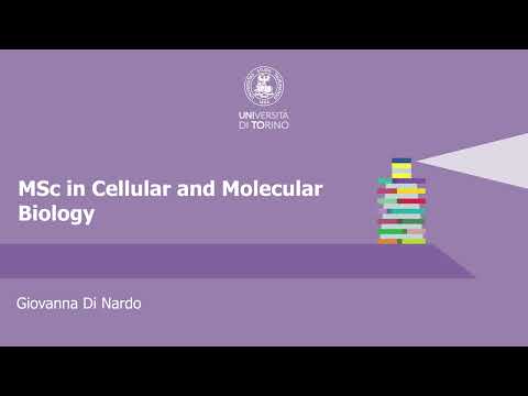 Cellular and Molecular Biology - Master Degree