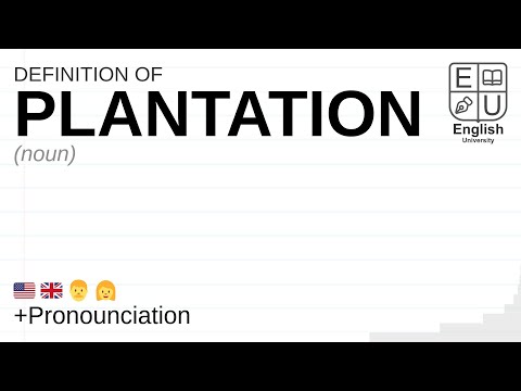 PLANTATION meaning, definition & pronunciation | What is PLANTATION? | How to say PLANTATION